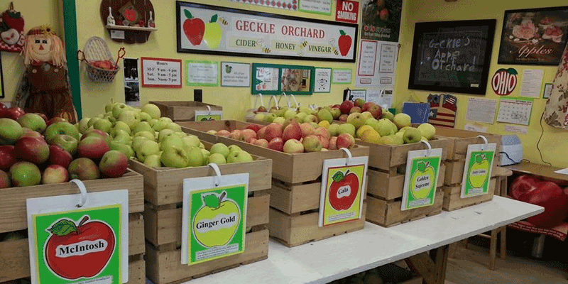 The Geckle Apple Orchard And The Homestead Fall Farm - Findlay Area Living